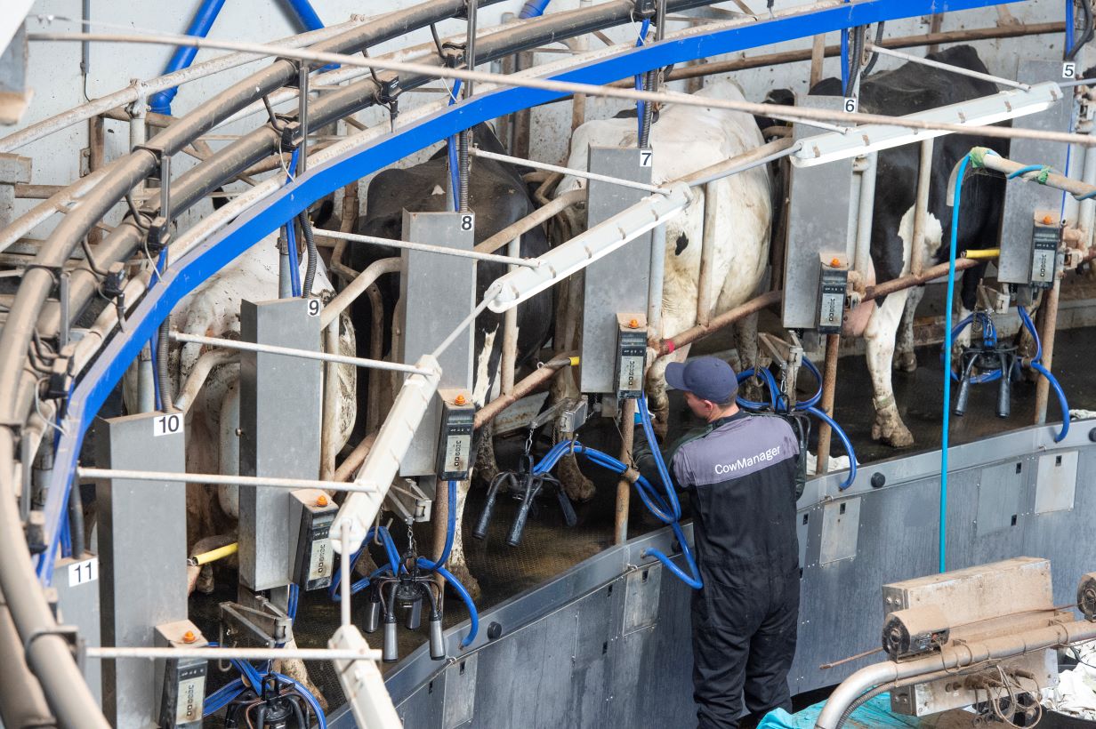 Milchproduktion Milchkühe | CowManager